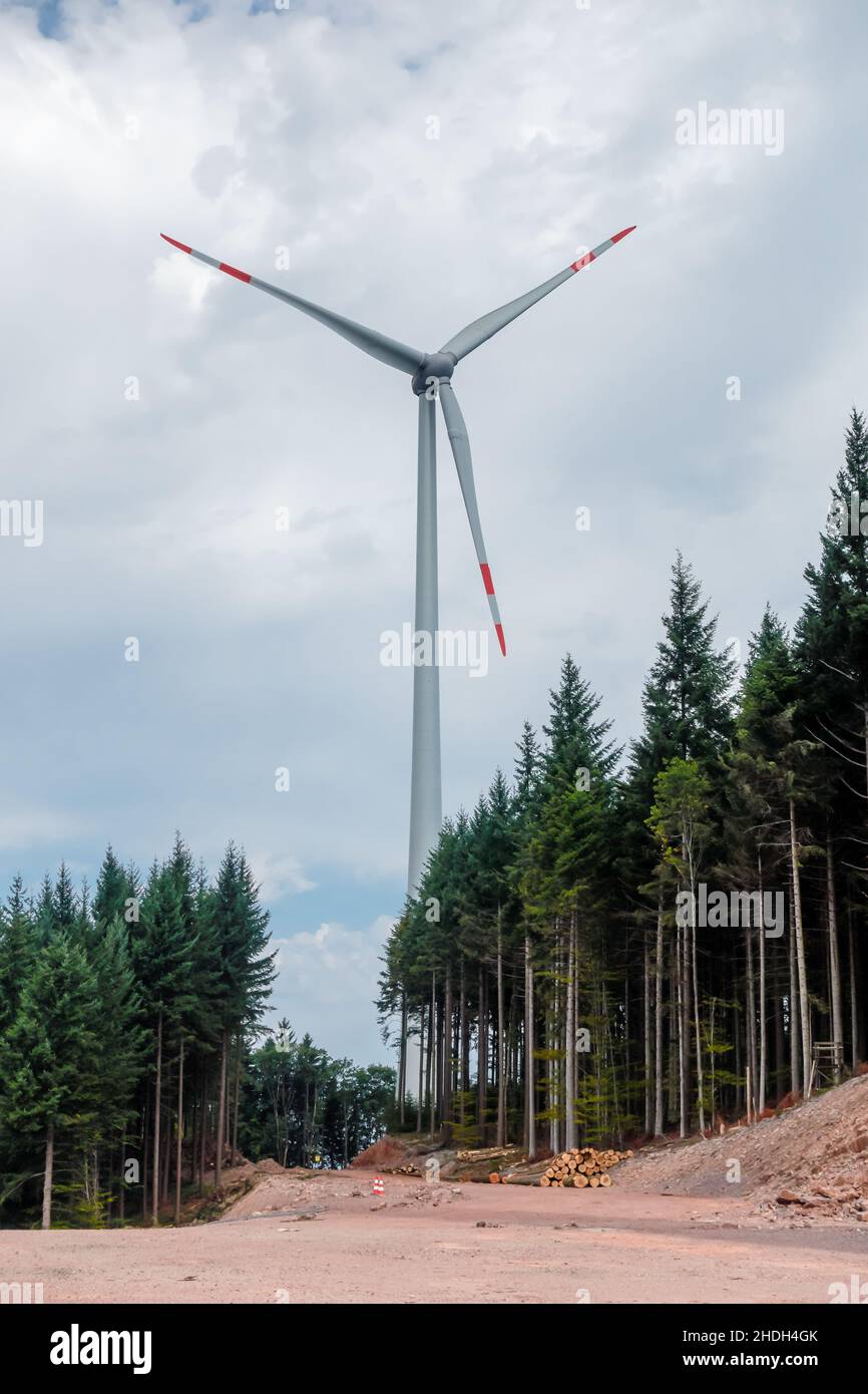 black forest, wind power, wind turbine, black forests, wood, wind ...