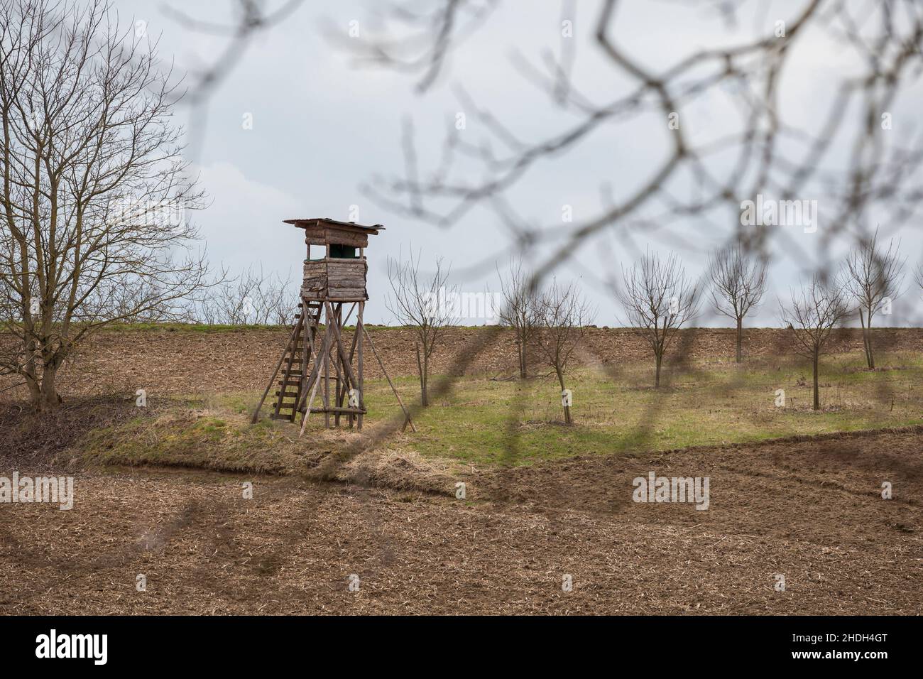 hunting tower, hunting towers Stock Photo - Alamy