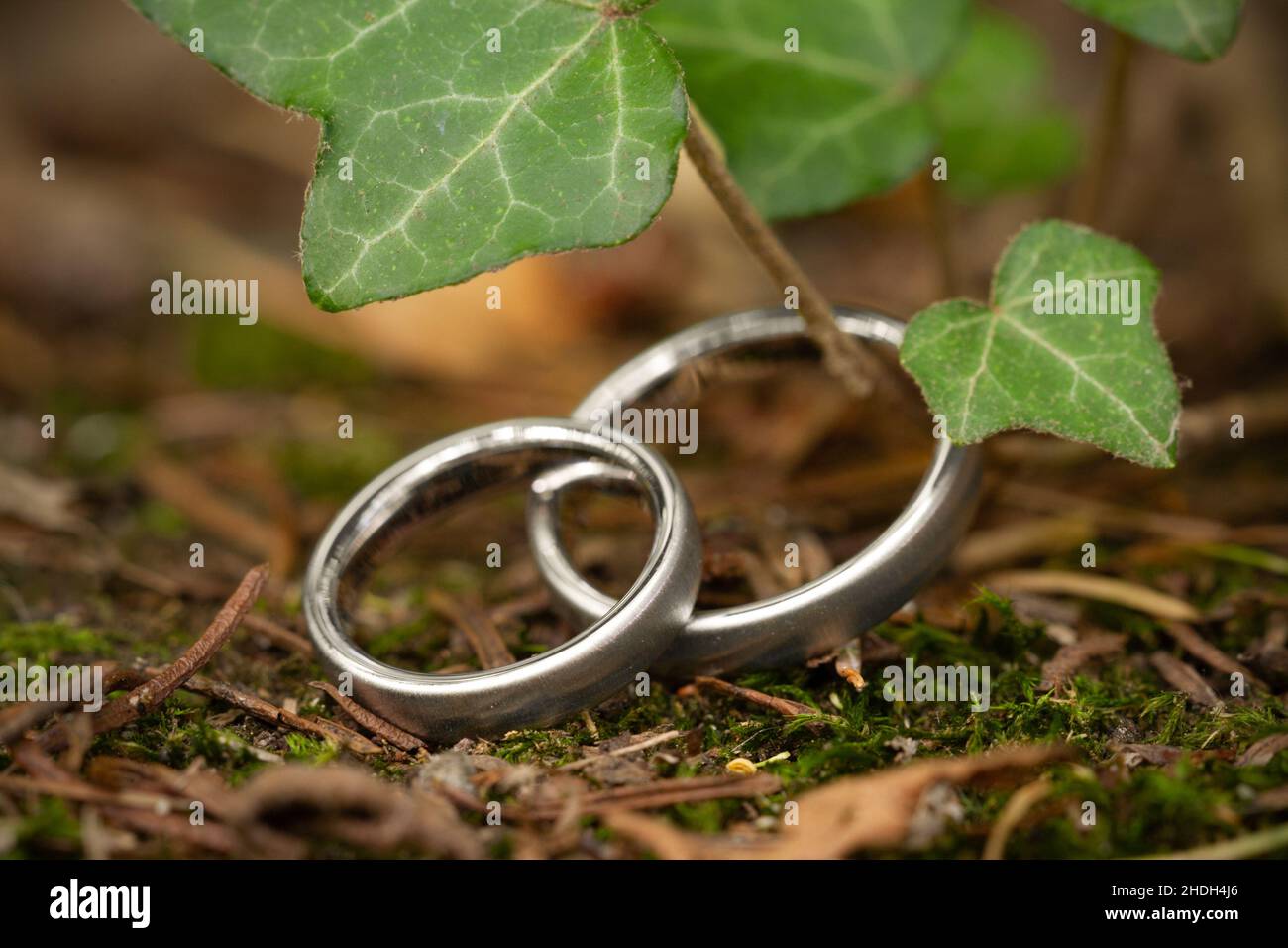 Silver rings hi-res stock photography and images - Alamy