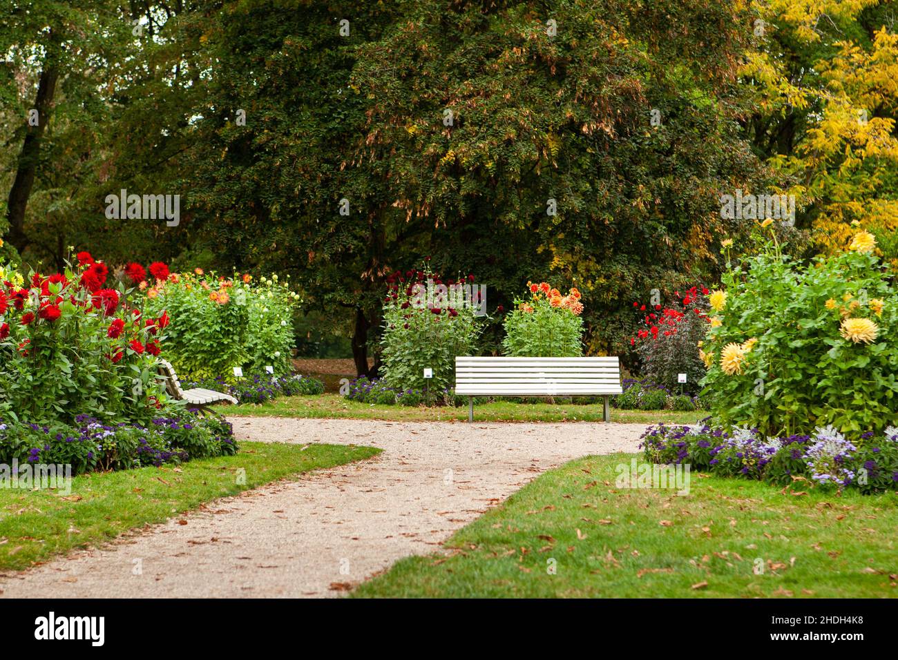 park, flower garden, parks, flower gardens Stock Photo - Alamy