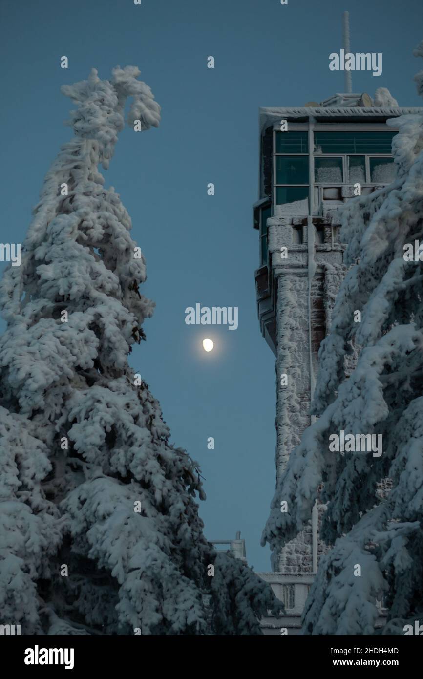 Moonlights hi-res stock photography and images - Alamy