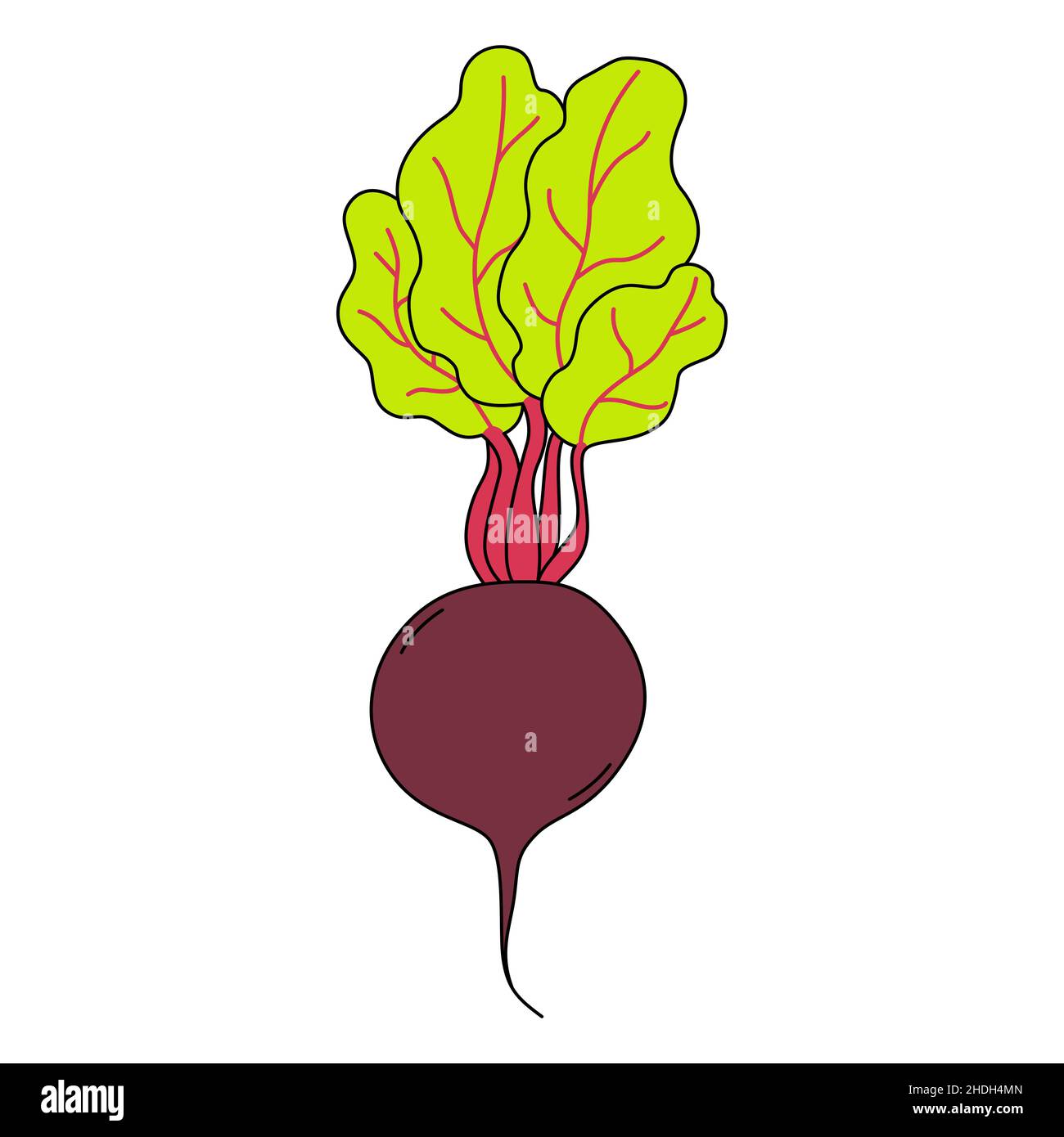 Cartoon beetroot with beet greens. Symbol of property nutrition. Vector ...