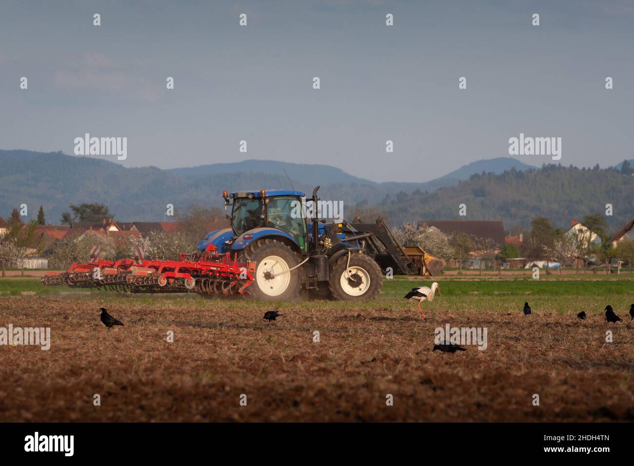 tractor, farming, field work, tractors, field works Stock Photo - Alamy