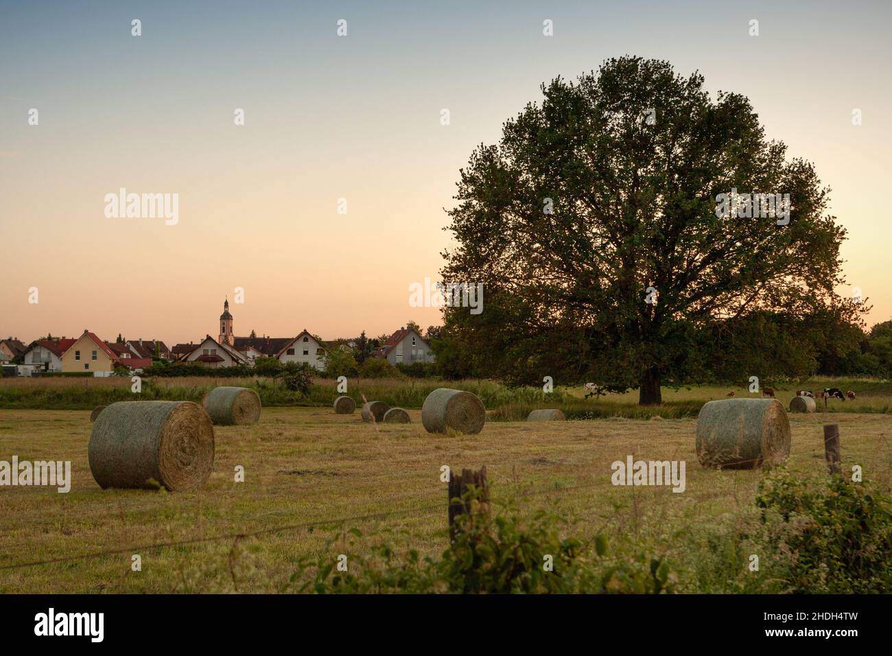 village, rural scene, straw bales, grain harvest, bale, villages ...