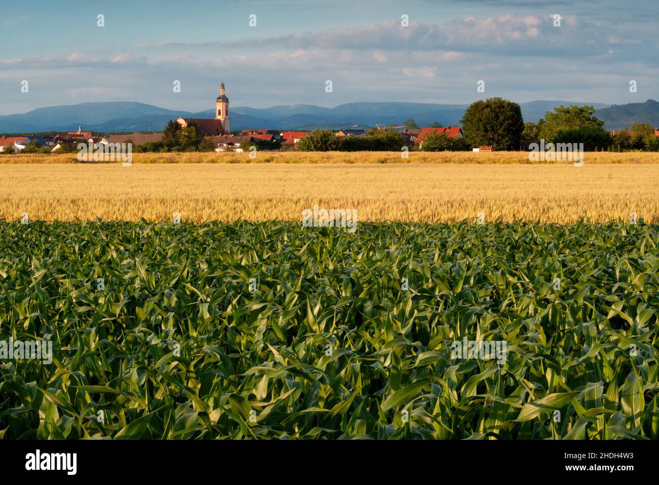 village, agriculture, rural scene, grainfield, villages, agricultures ...