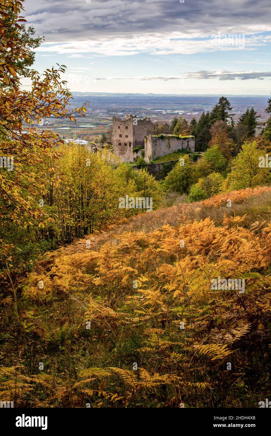 autumn, ruins, schauenburg, fall, ruin Stock Photo - Alamy