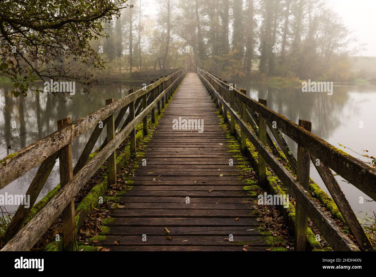 river, wooden bridge, rivers, wooden bridges Stock Photo - Alamy
