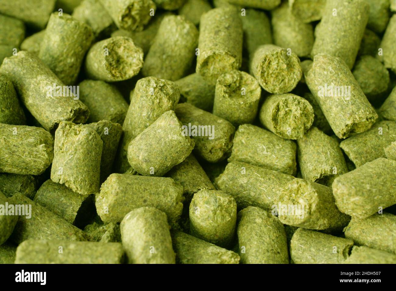 hop, hop pellets, hops Stock Photo - Alamy