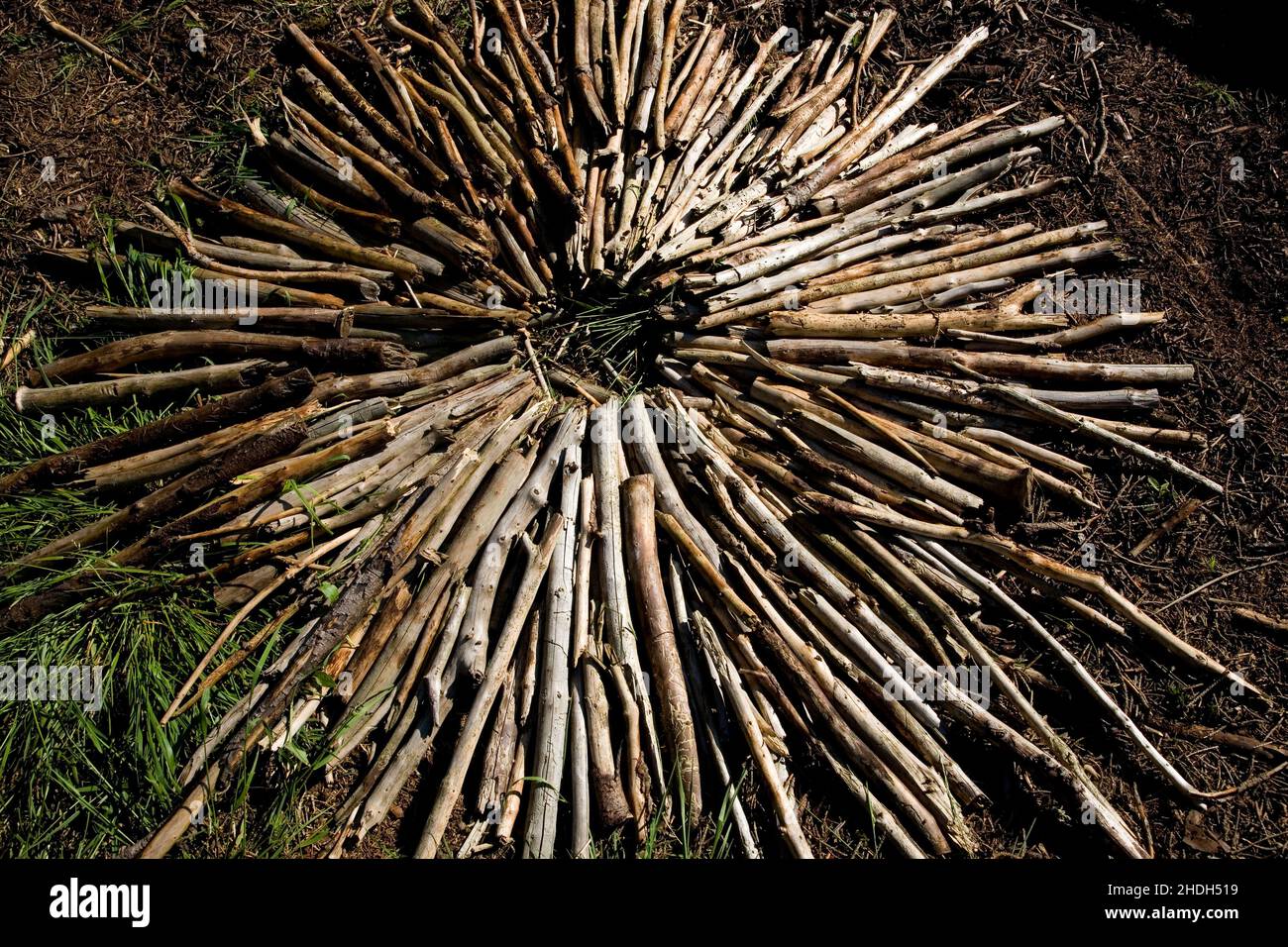wood, circular, stick, natural art, woodland, woodlands, woods ...
