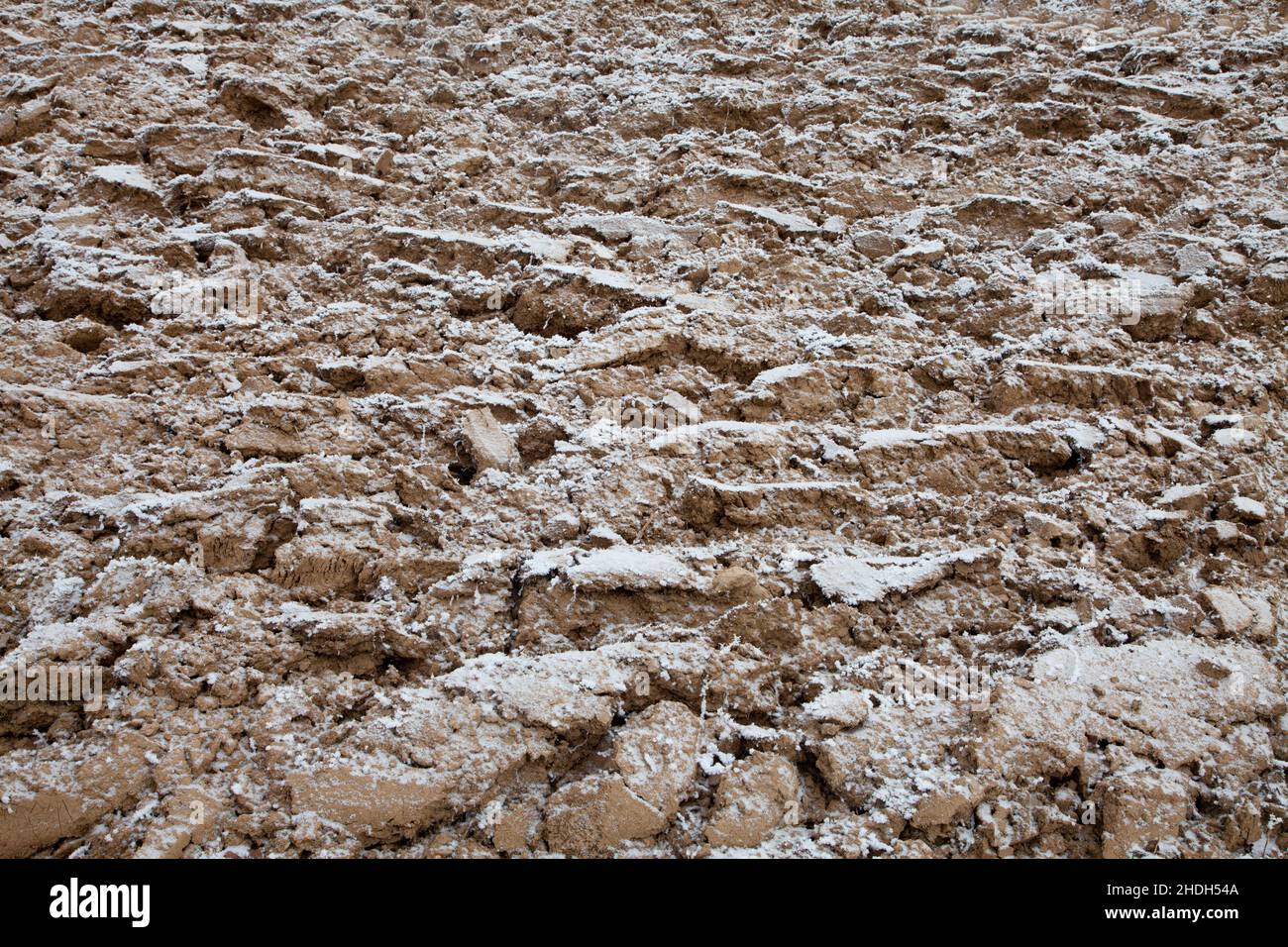 arable, ground frost, arables, frost, ground frosts Stock Photo - Alamy