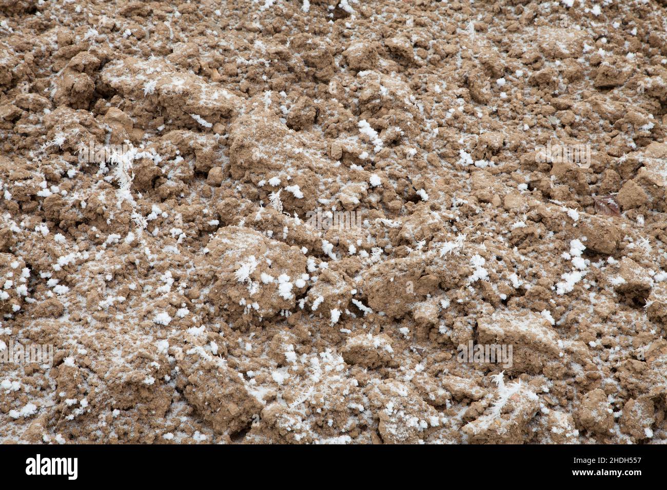 earth, frost, rime, earths, frosts, rimes Stock Photo - Alamy