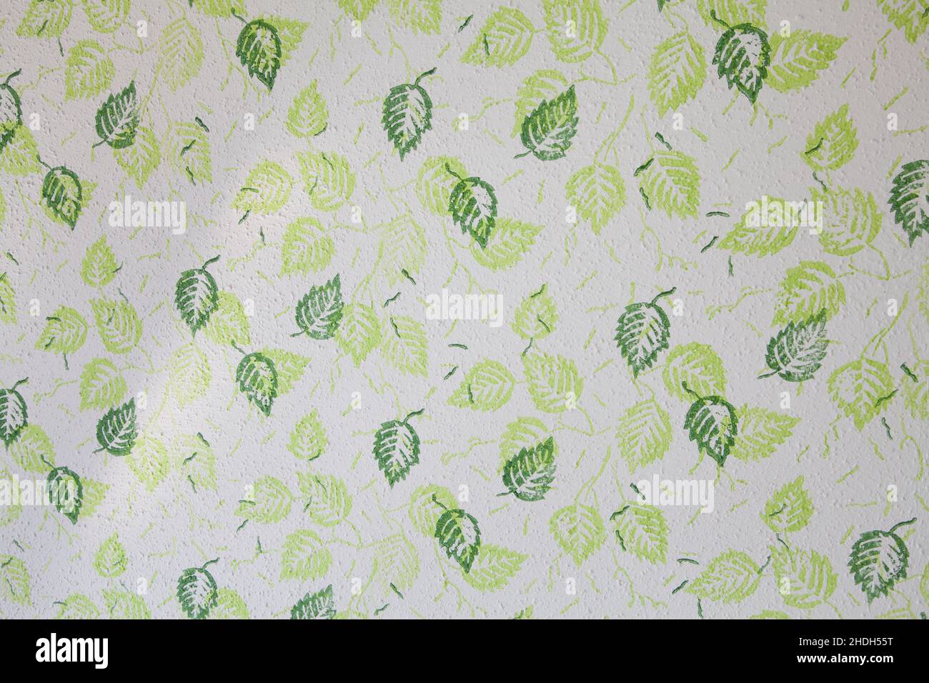 leaves, plaster, leaf, plasters Stock Photo - Alamy