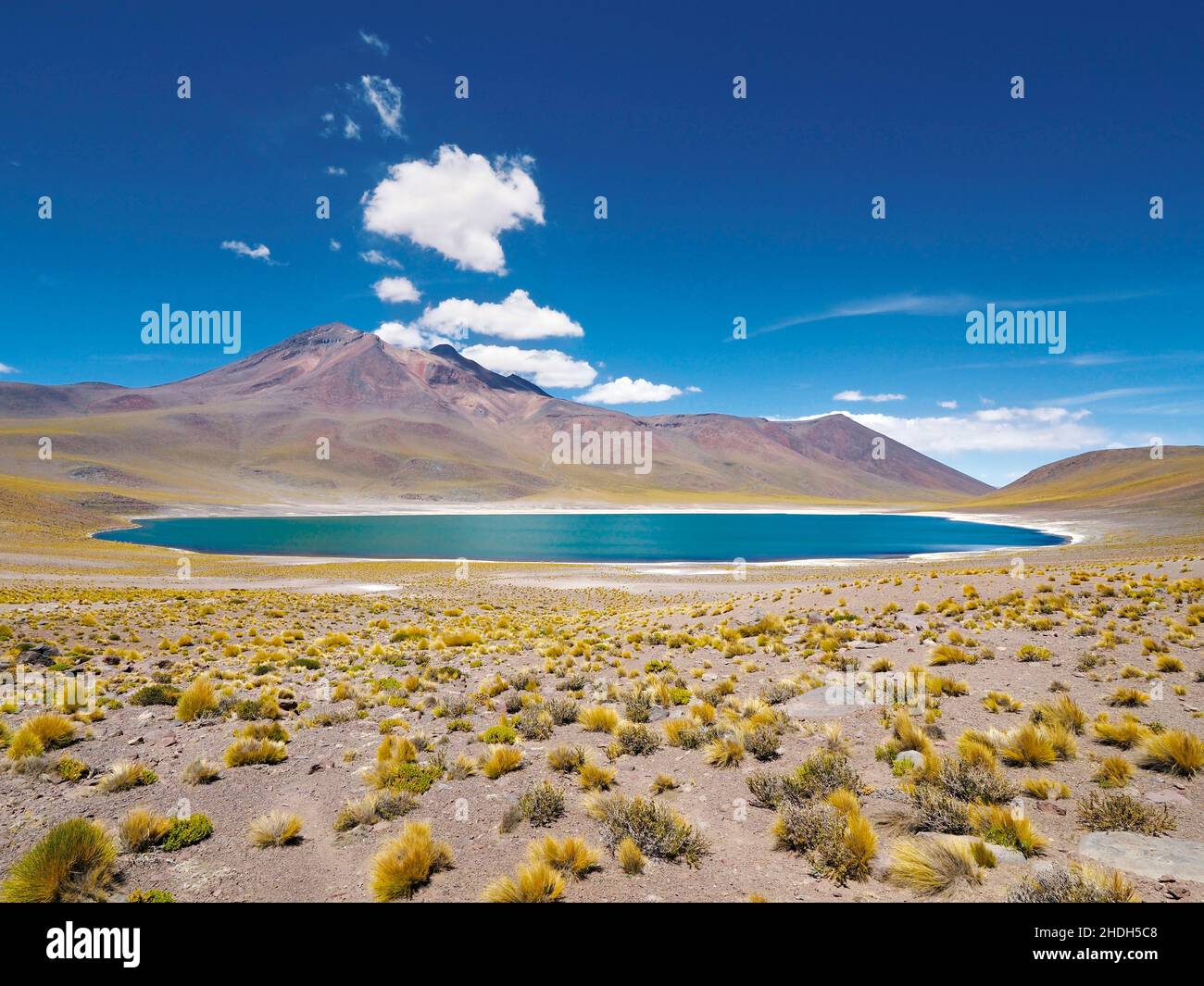 lake, volcanic crater, miscanti, lakes, volcanic craters Stock Photo ...