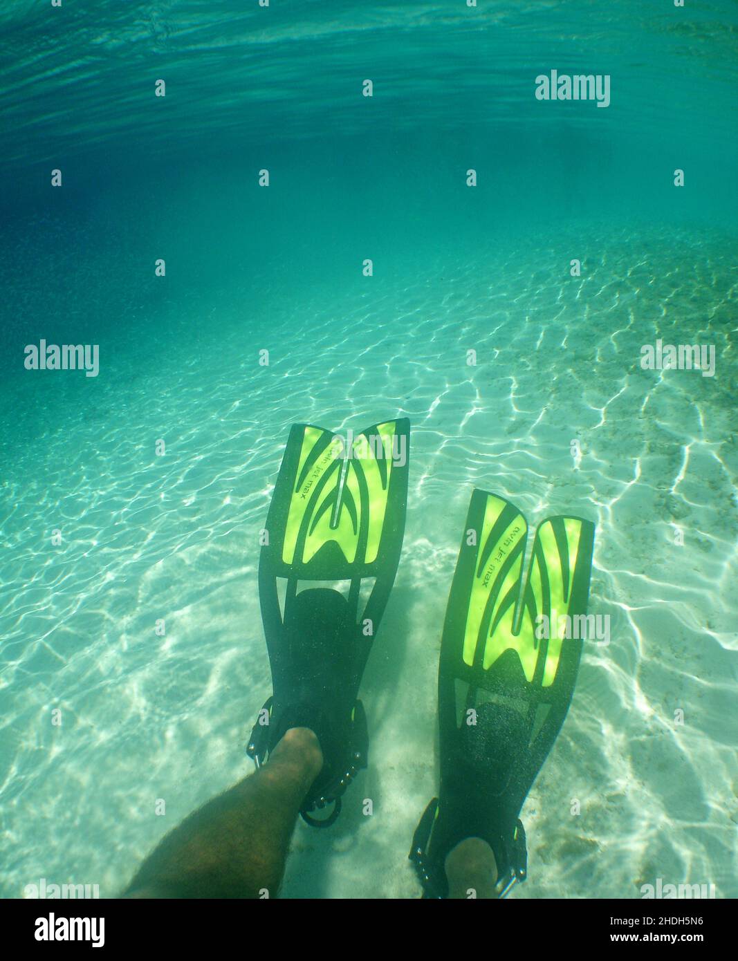 Fins on the diver's legs underwater Stock Photo - Alamy
