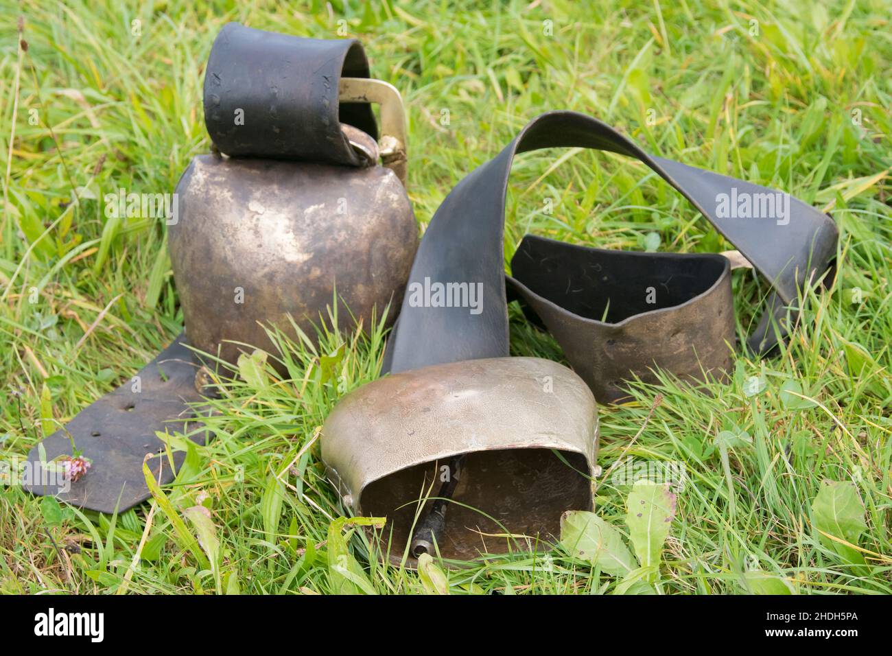 cow bell, cow bells Stock Photo - Alamy