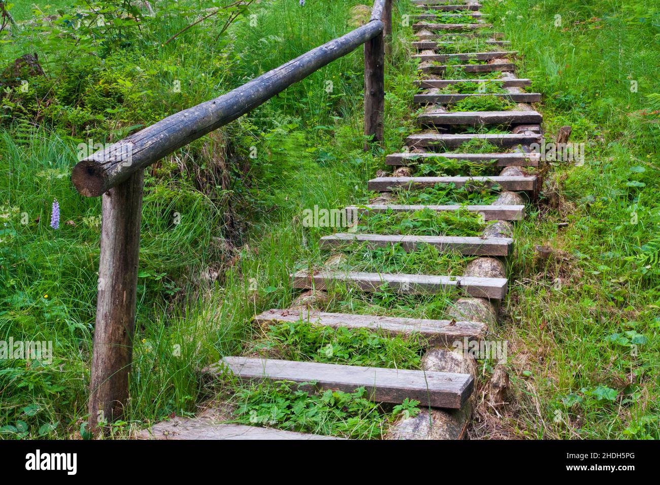 staircase, trail, staircases, stairs, trails Stock Photo - Alamy