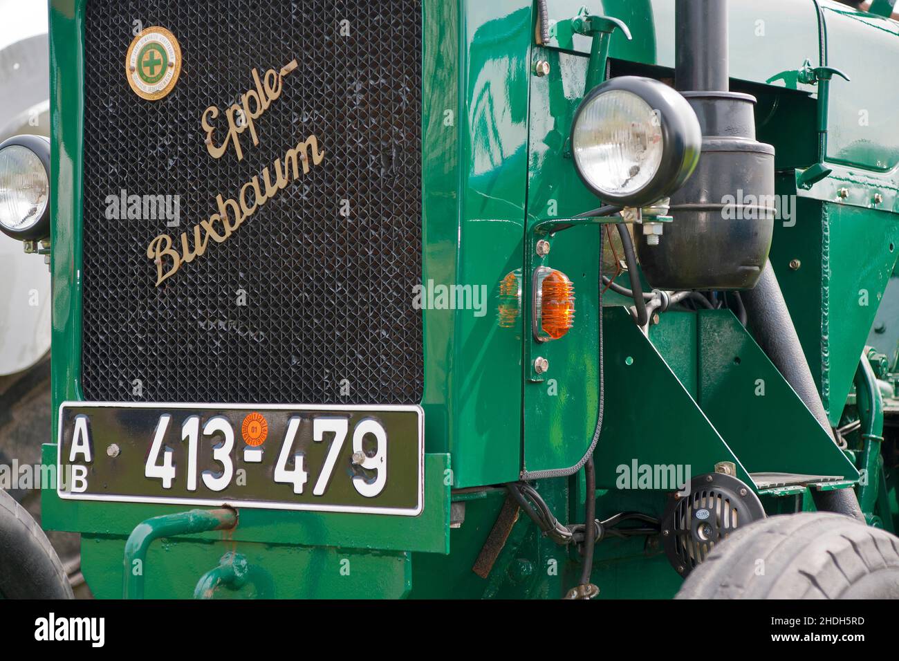 Epple buxbaum hi-res stock photography and images - Alamy