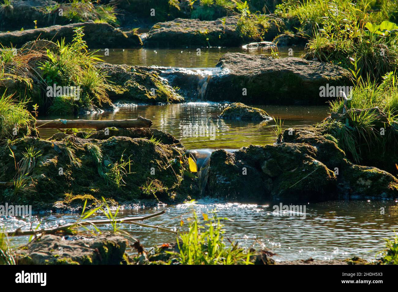 Fish ladders hi-res stock photography and images - Alamy