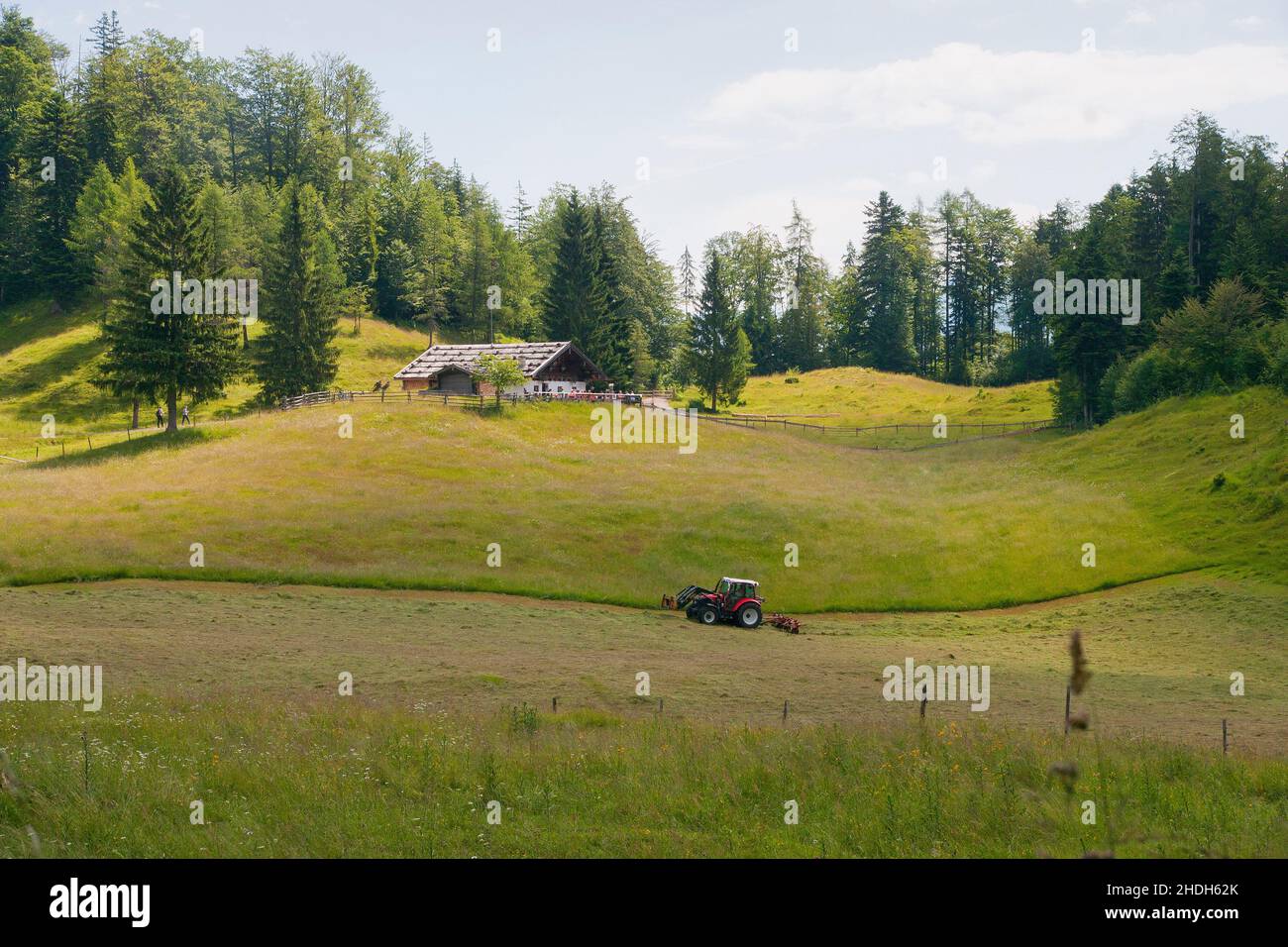 agriculture, alp, farming, agricultures, alps Stock Photo - Alamy