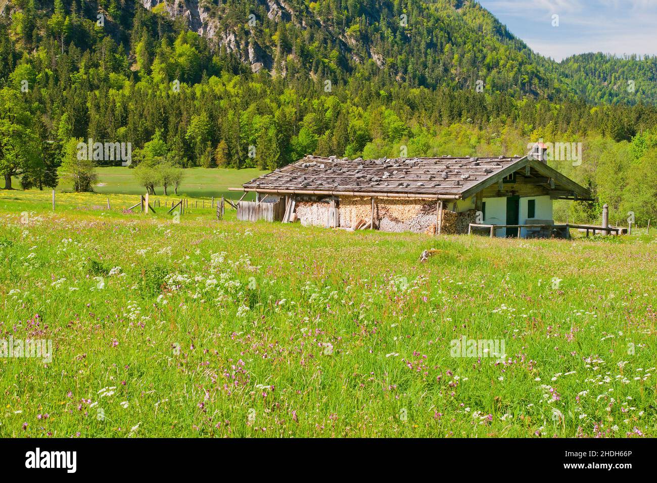 hut, alp, ruhpolding, huts, alps Stock Photo - Alamy