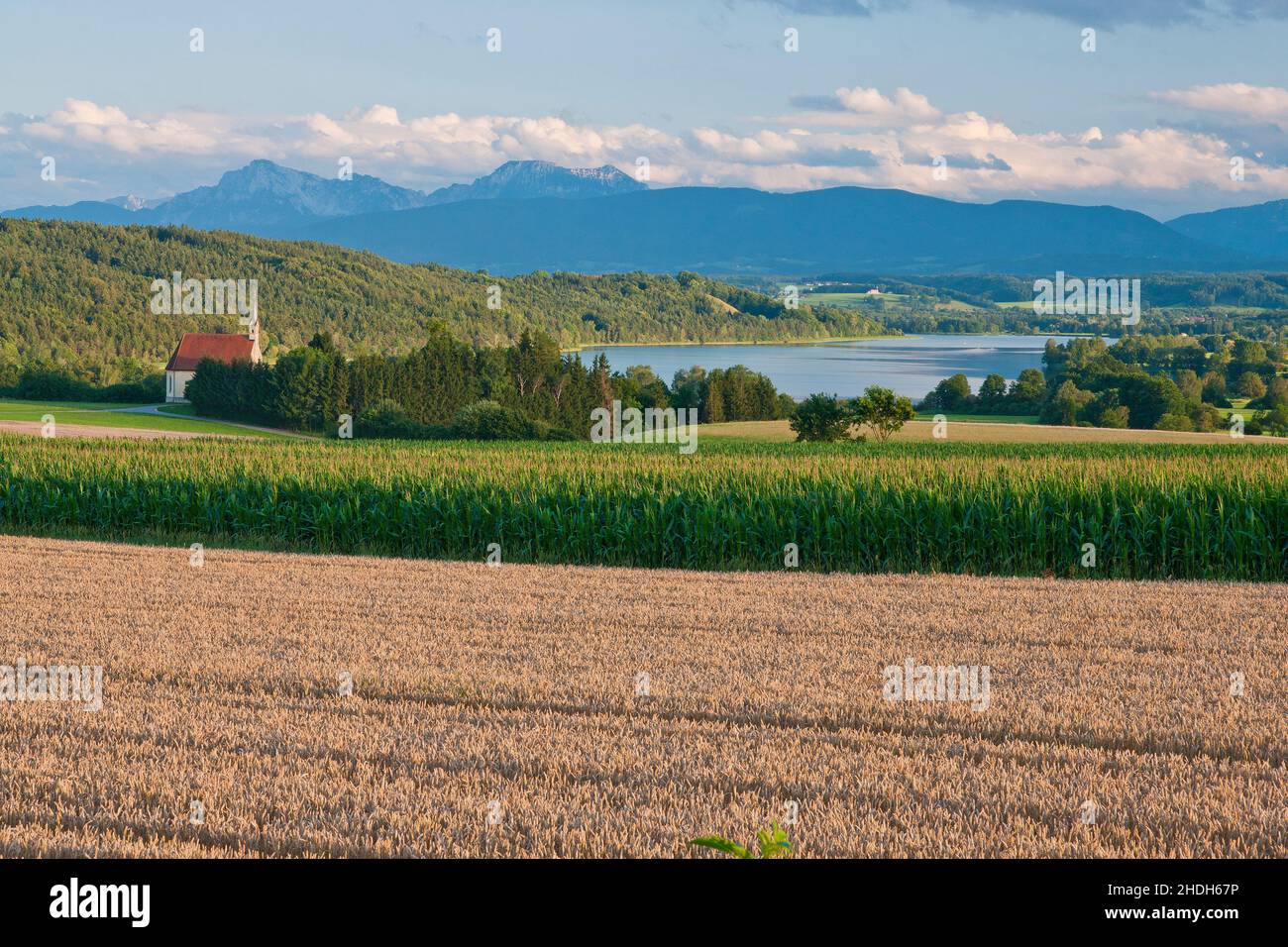 bavaria, tachinger see, taching, bavarias Stock Photo - Alamy