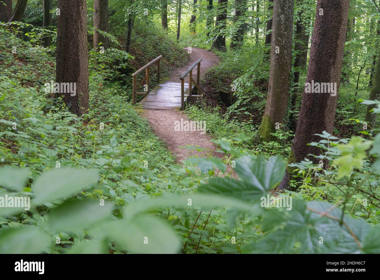 path, trail, paths, trails Stock Photo - Alamy