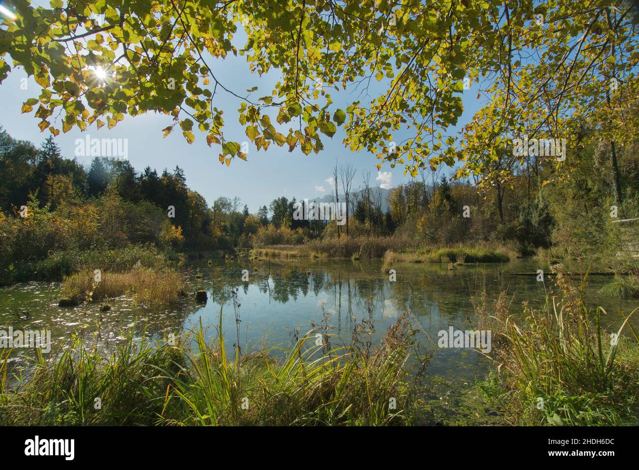 pond, floodplain, marzoller au, ponds, floodplains Stock Photo - Alamy