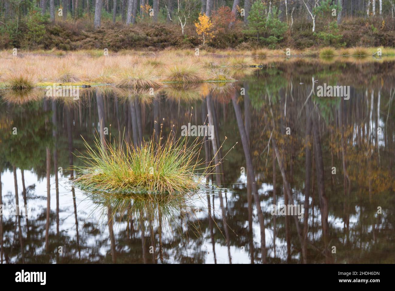 Morr landscape hi-res stock photography and images - Alamy