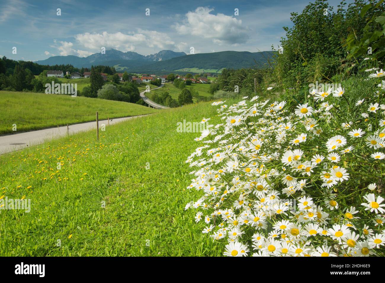 Teisenberg hi-res stock photography and images - Alamy