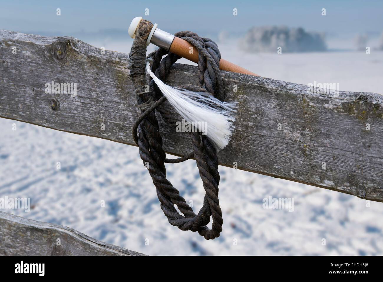 customs, masquerade mask, whip, aperschnalzen, goaßl, custom ...