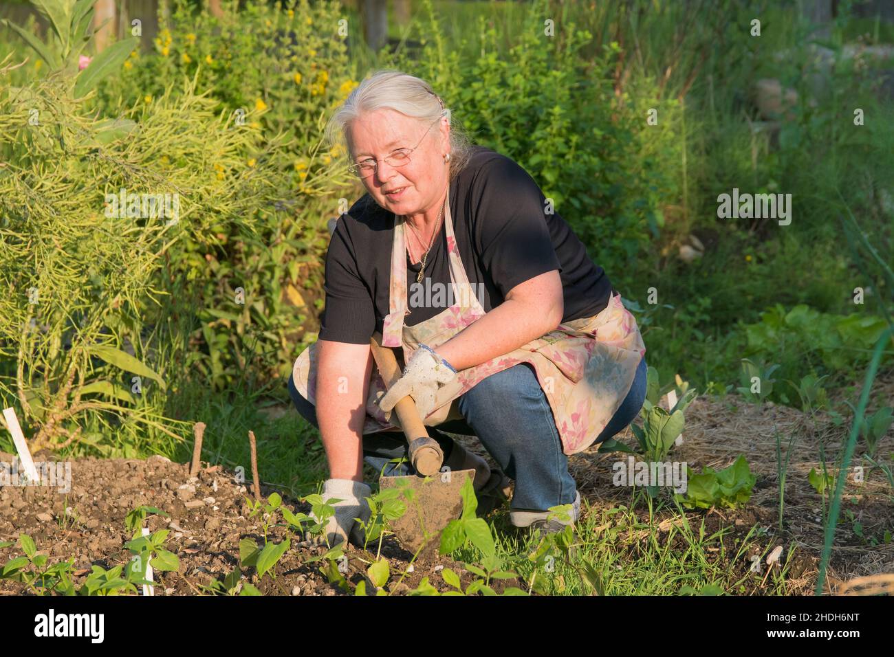 woman, senior, garden, gardening, female, ladies, lady, women, elderly ...