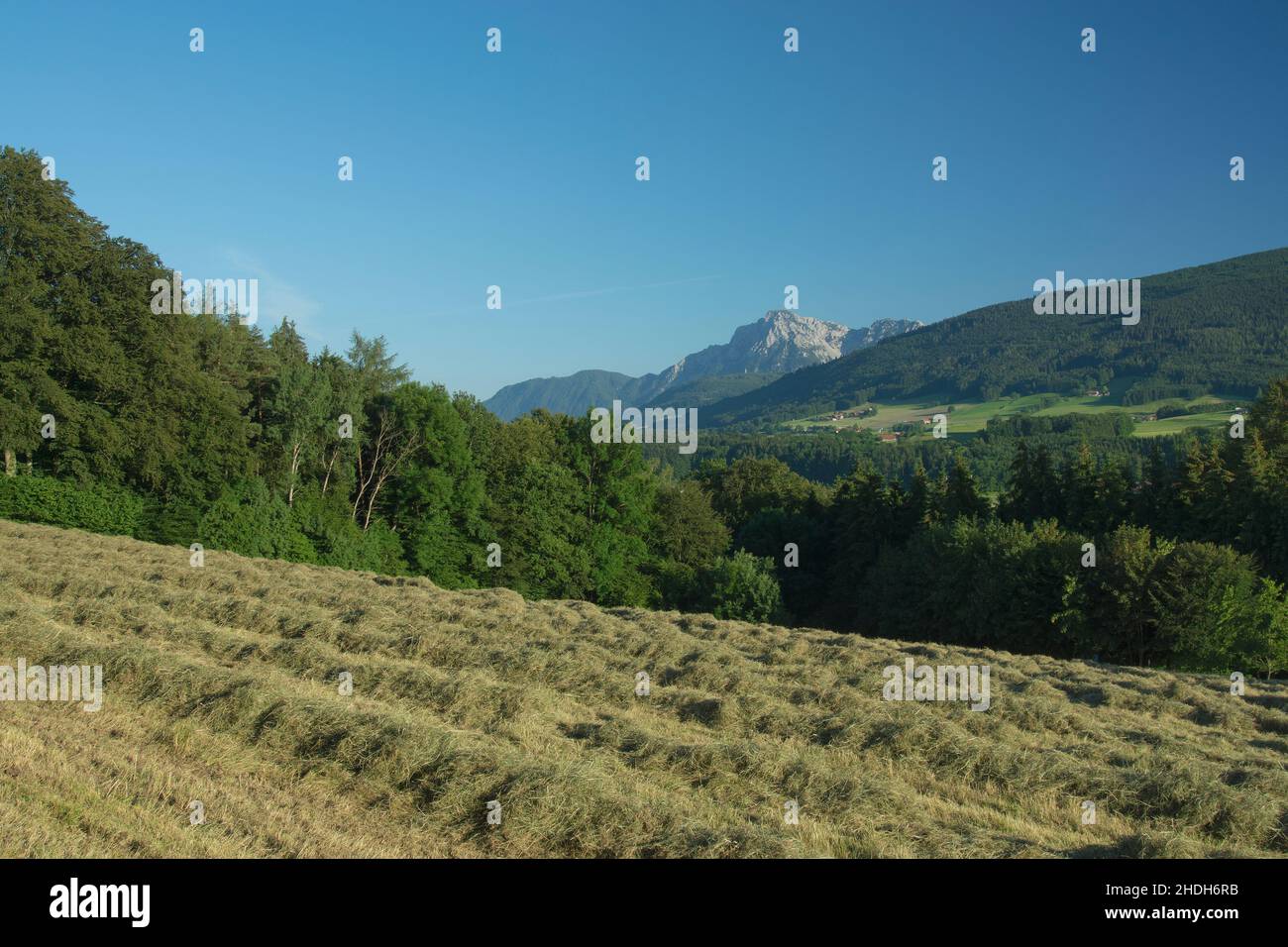 Summer landscape rows mowed hi-res stock photography and images - Alamy