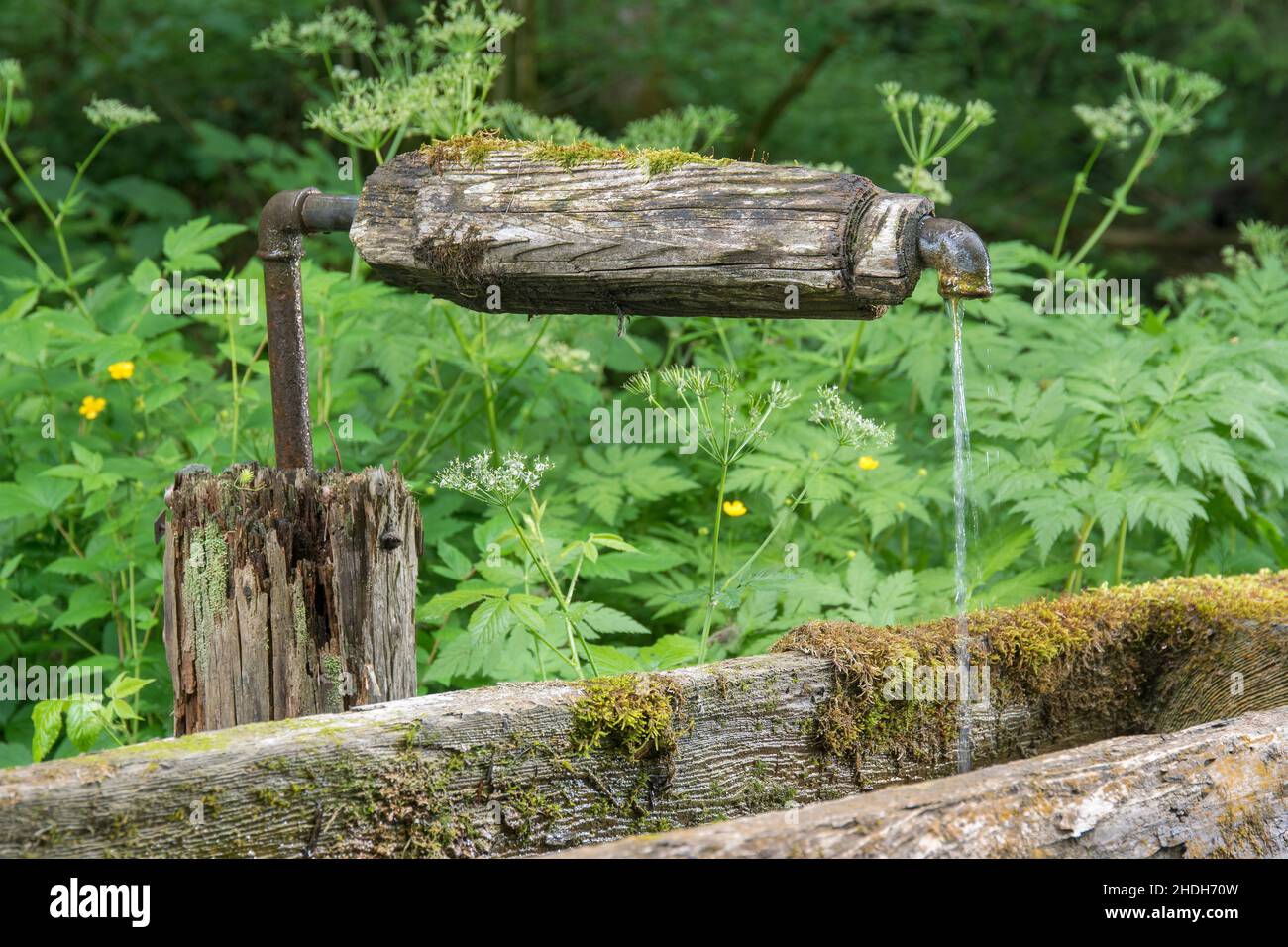 fresh water, source, wooden vat, fresh waters, sources, wooden vats ...