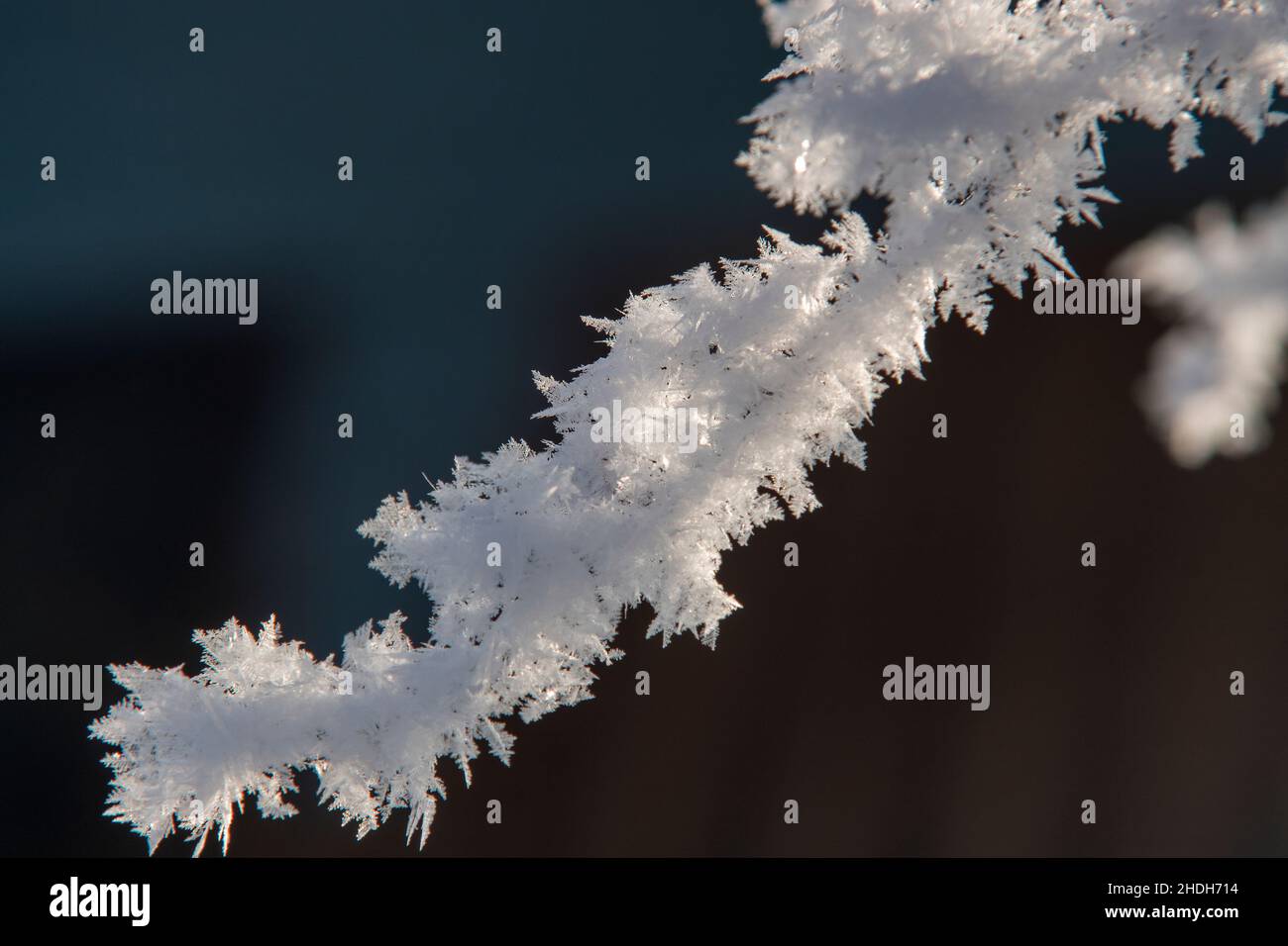 frost, ice crystals, frosts, ice crystal Stock Photo - Alamy