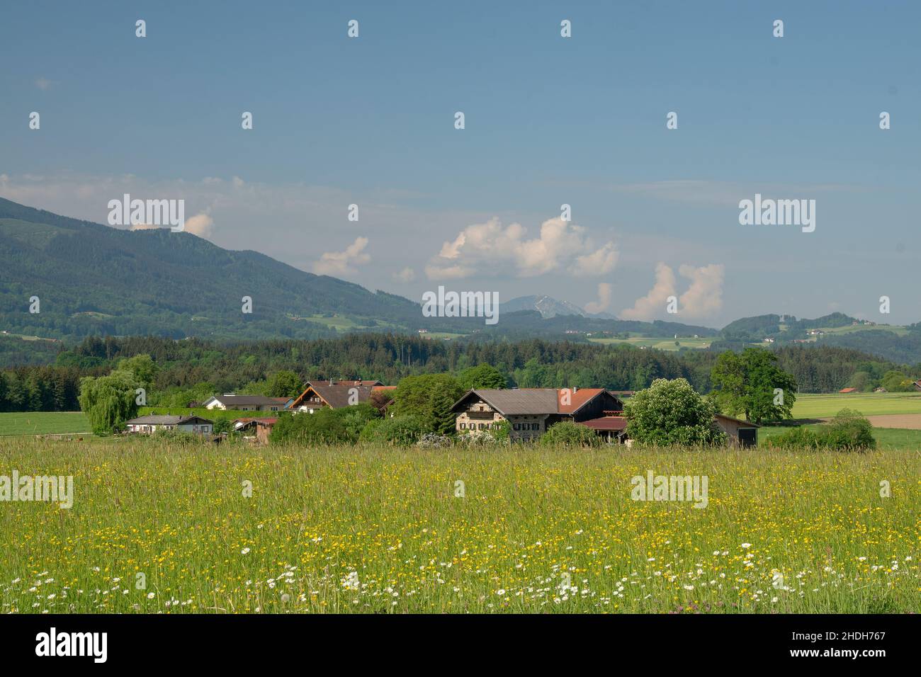 Teisendorf hi-res stock photography and images - Alamy