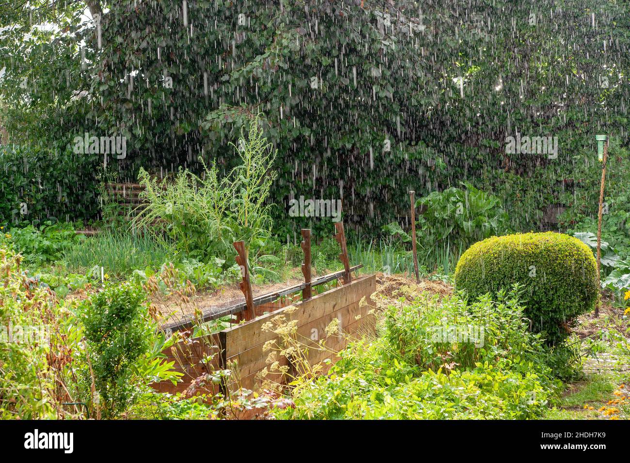 garden, rain showers, gardens, rain shower Stock Photo - Alamy