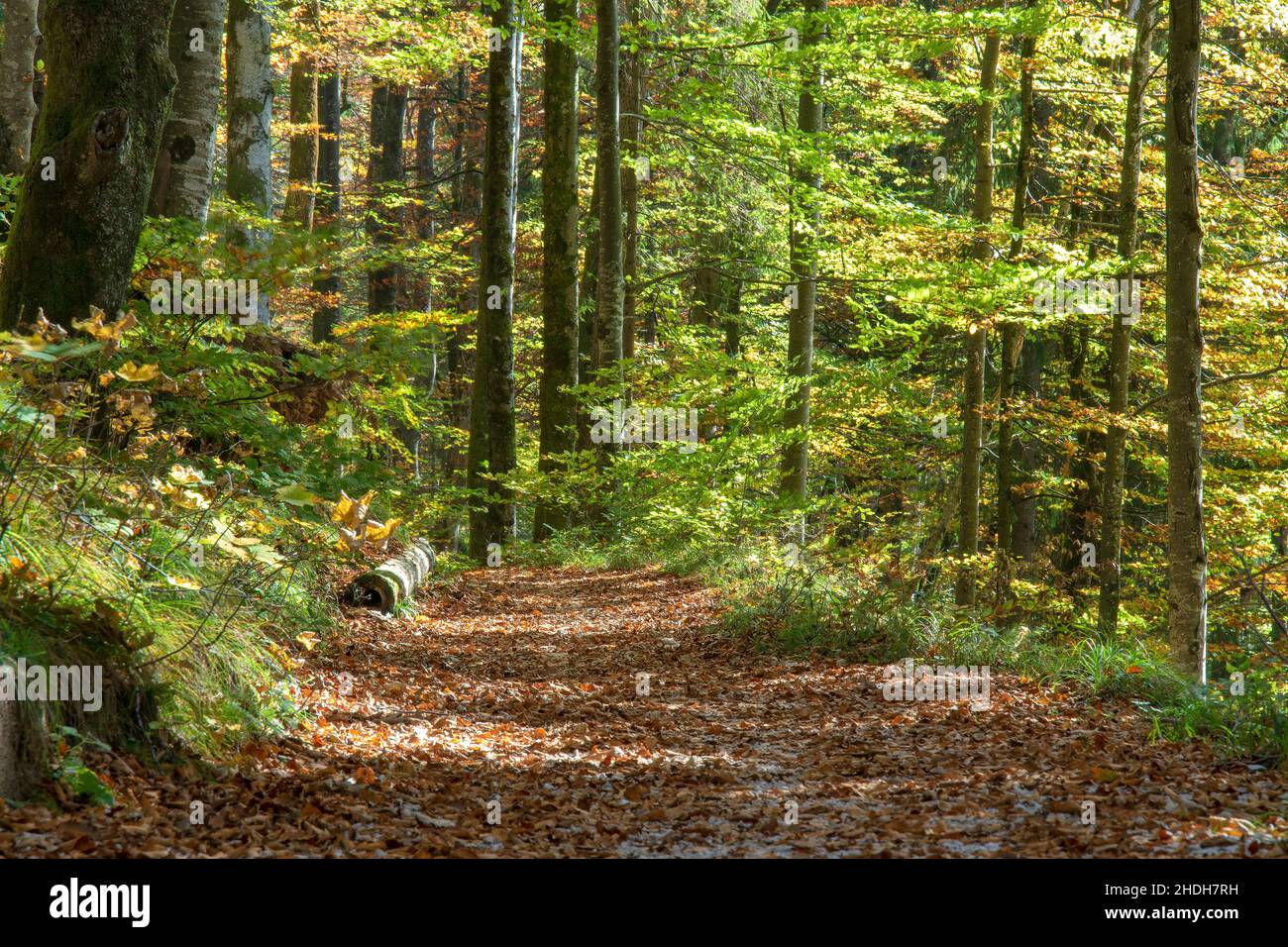Brine pipeline path hi-res stock photography and images - Alamy
