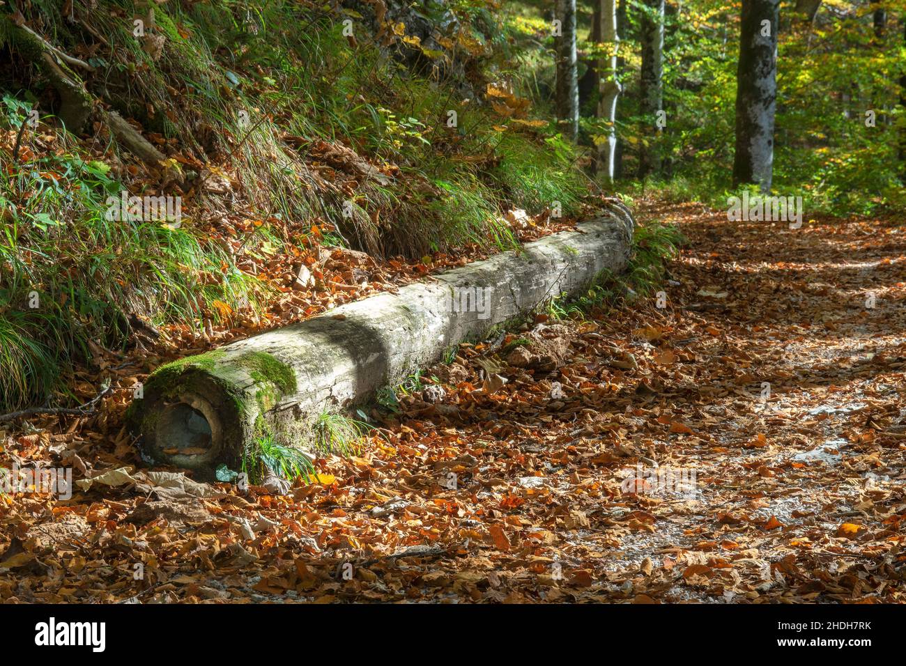 Brine pipeline hi-res stock photography and images - Alamy