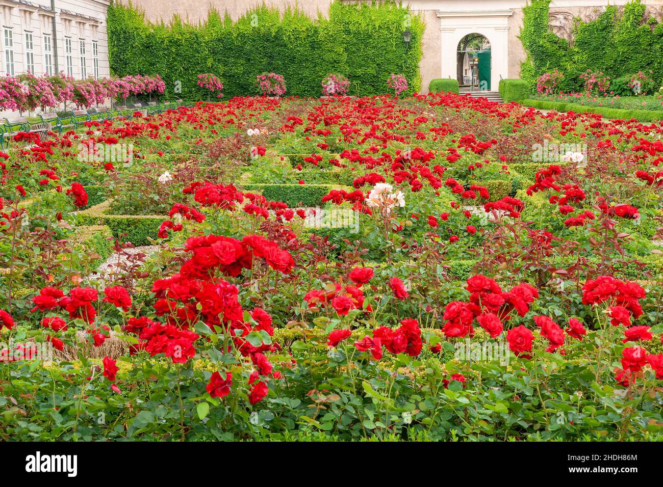 rose garden , castle mirabell, rose garden s, mirabell castles Stock ...