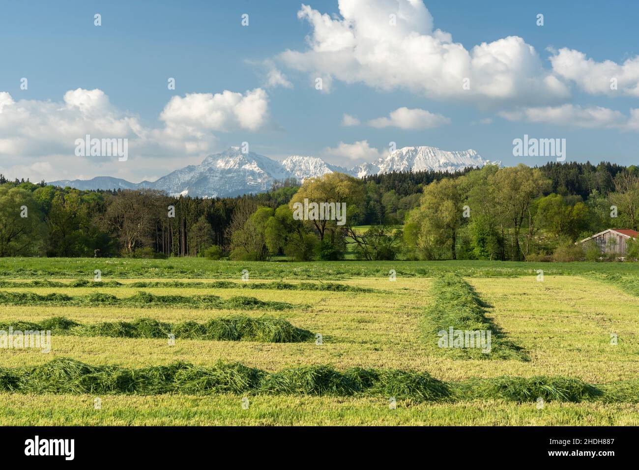 Mowed meadows hi-res stock photography and images - Alamy