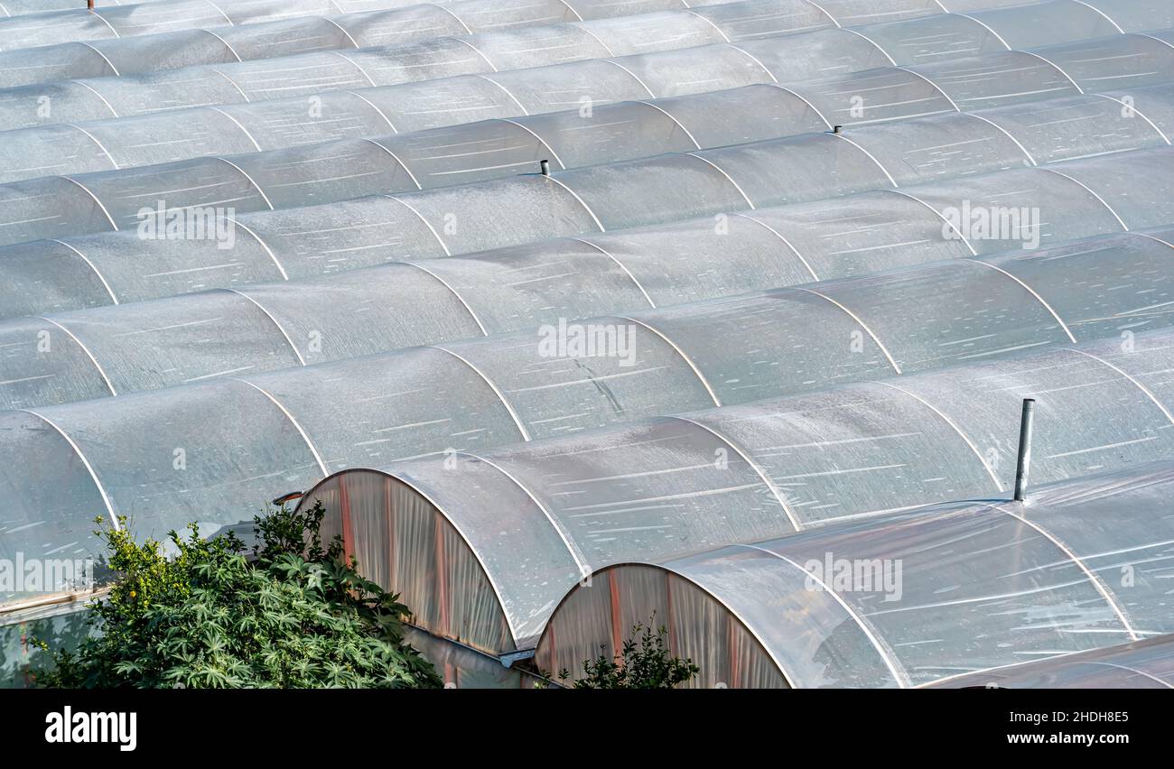 Polytunnels top view hi-res stock photography and images - Alamy