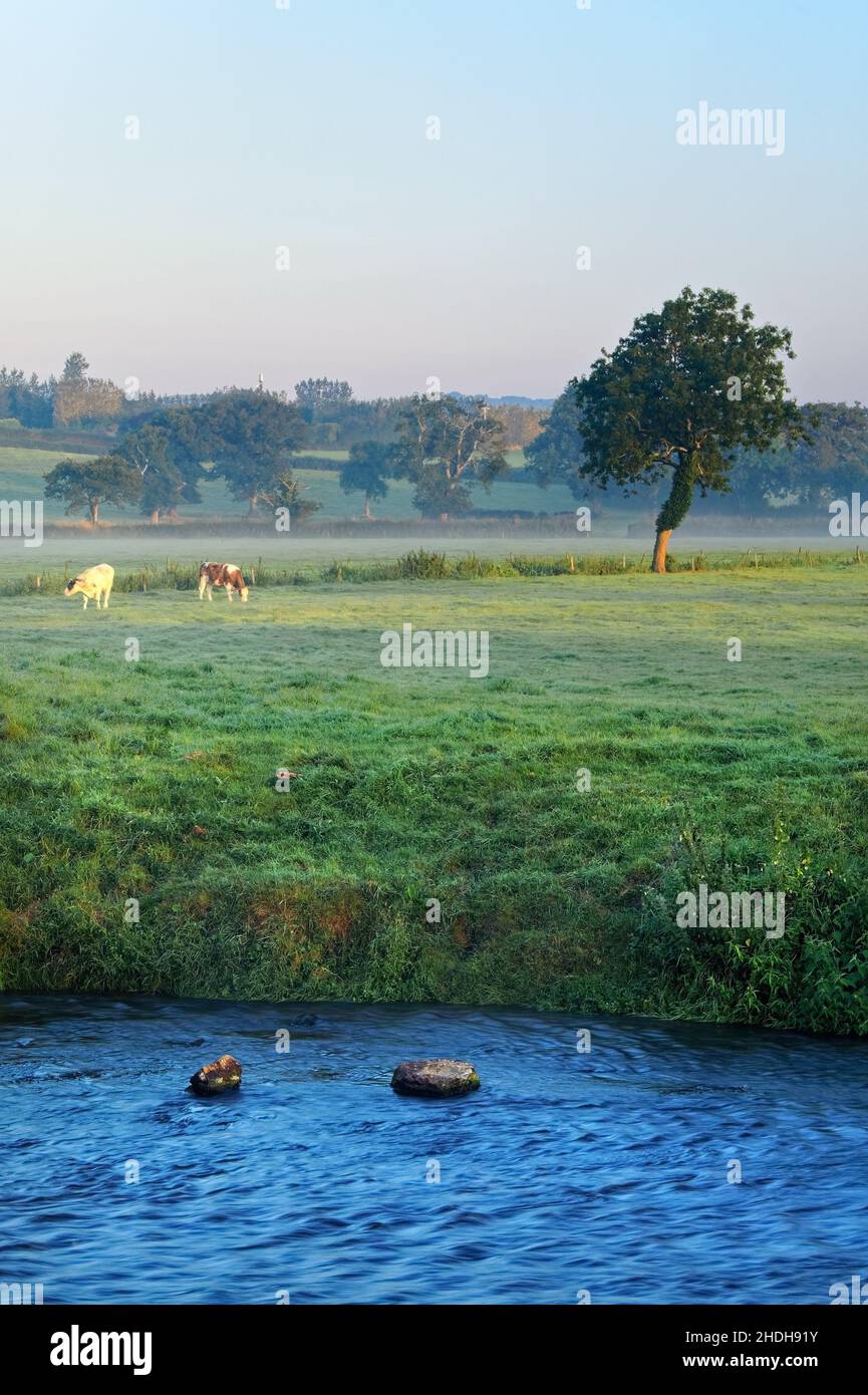 UK, Devon, Axminster, River Axe and Countryside from A35 Bridge Stock ...