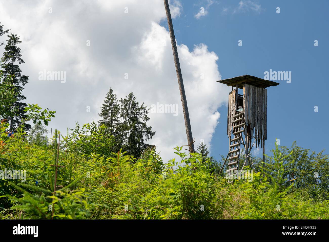 high seat, raised stand, hunters stand, high seats, raised stands ...