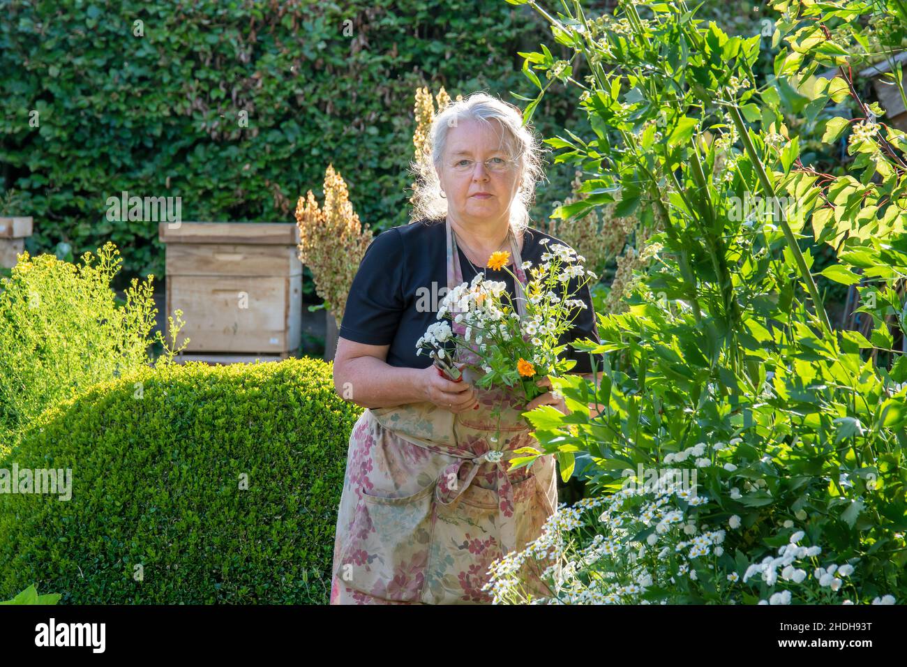 senior, garden, bouquet, elderly, old, seniors, gardens, bouquets Stock ...