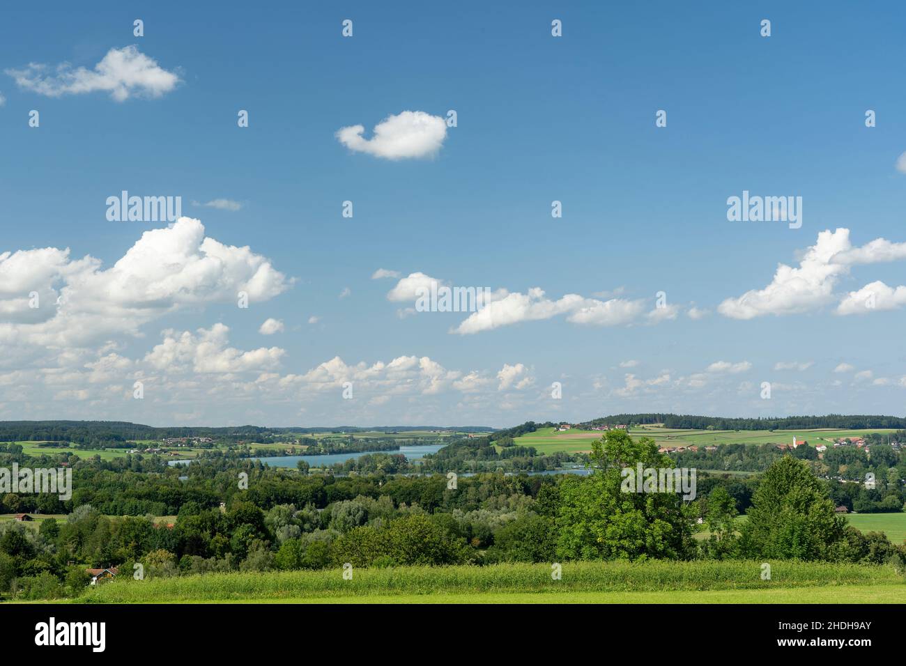 Waging hi-res stock photography and images - Alamy