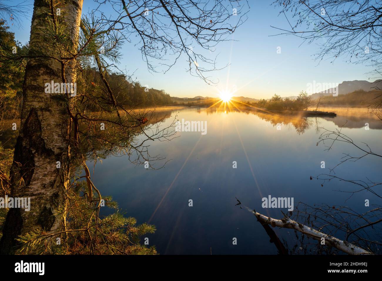 sunrise, ainring moor, sun rises, sunrises, ainring moors Stock Photo ...