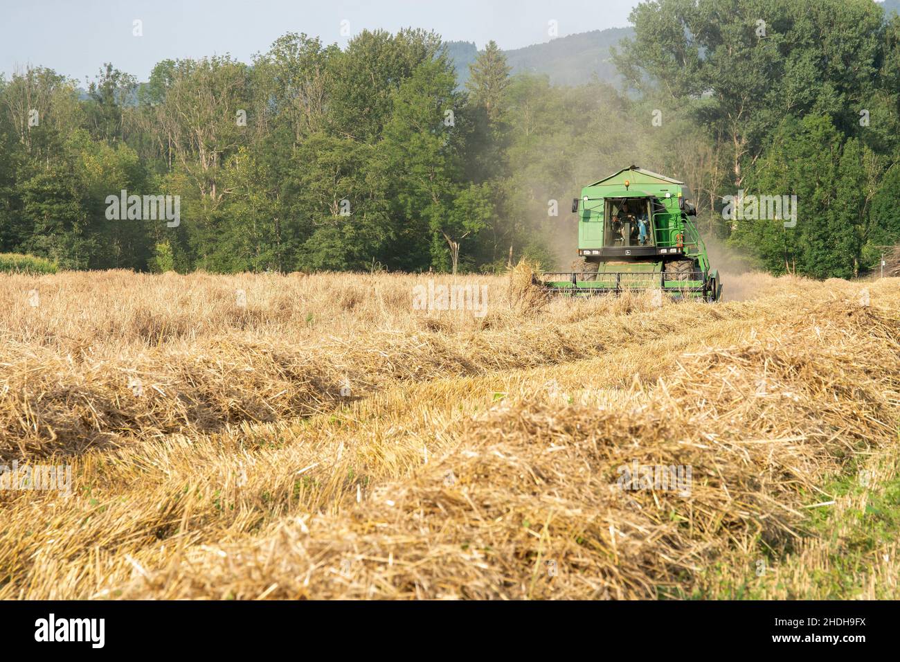 agriculture, combine, corn field, agricultures, combines, harvester ...