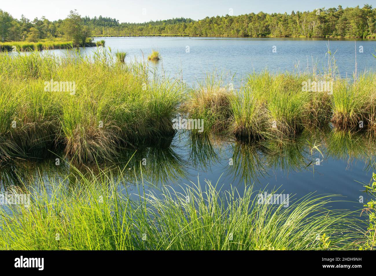 Morr landscape hi-res stock photography and images - Alamy