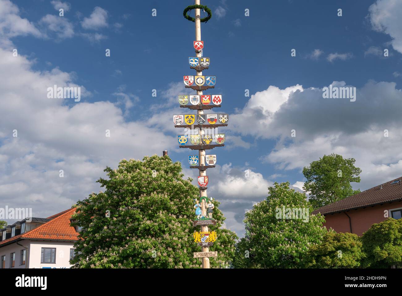 zunft tree, zunft trees Stock Photo - Alamy