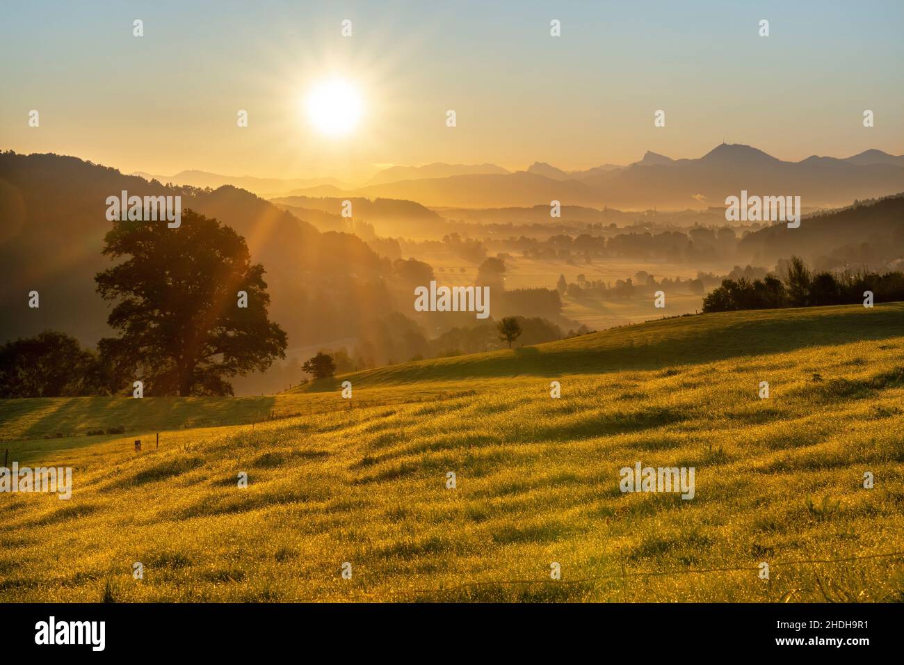 sunbeams, morning mood, morning light, sun beams, sun ray, sun rays ...